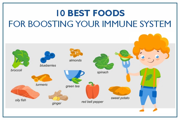13 Best food for boosting your immune system | Medicover Hospitals