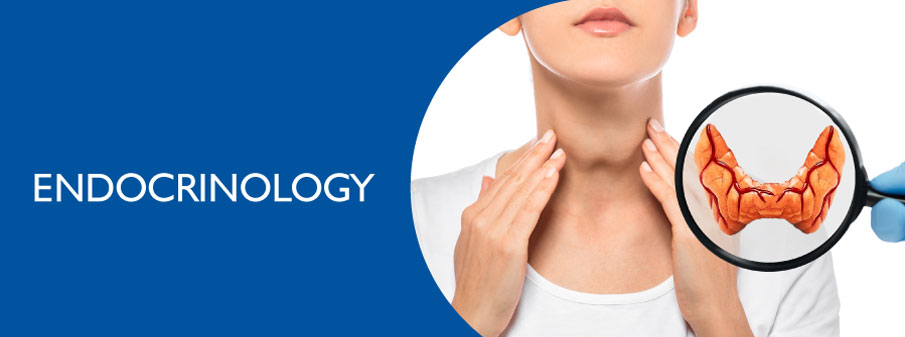 Endocrinologie : aperçu, symptômes, procédures, tests | Medicover